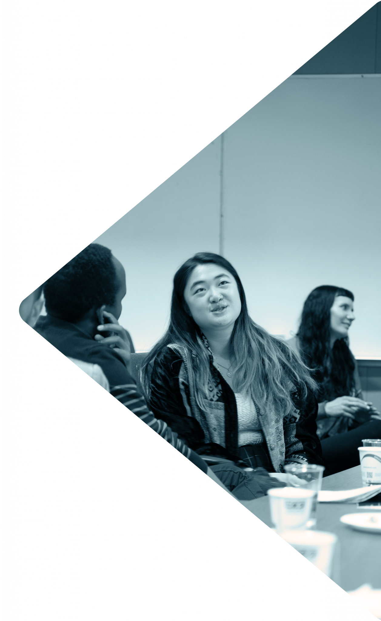 Consulting Services - RADIUS SFU